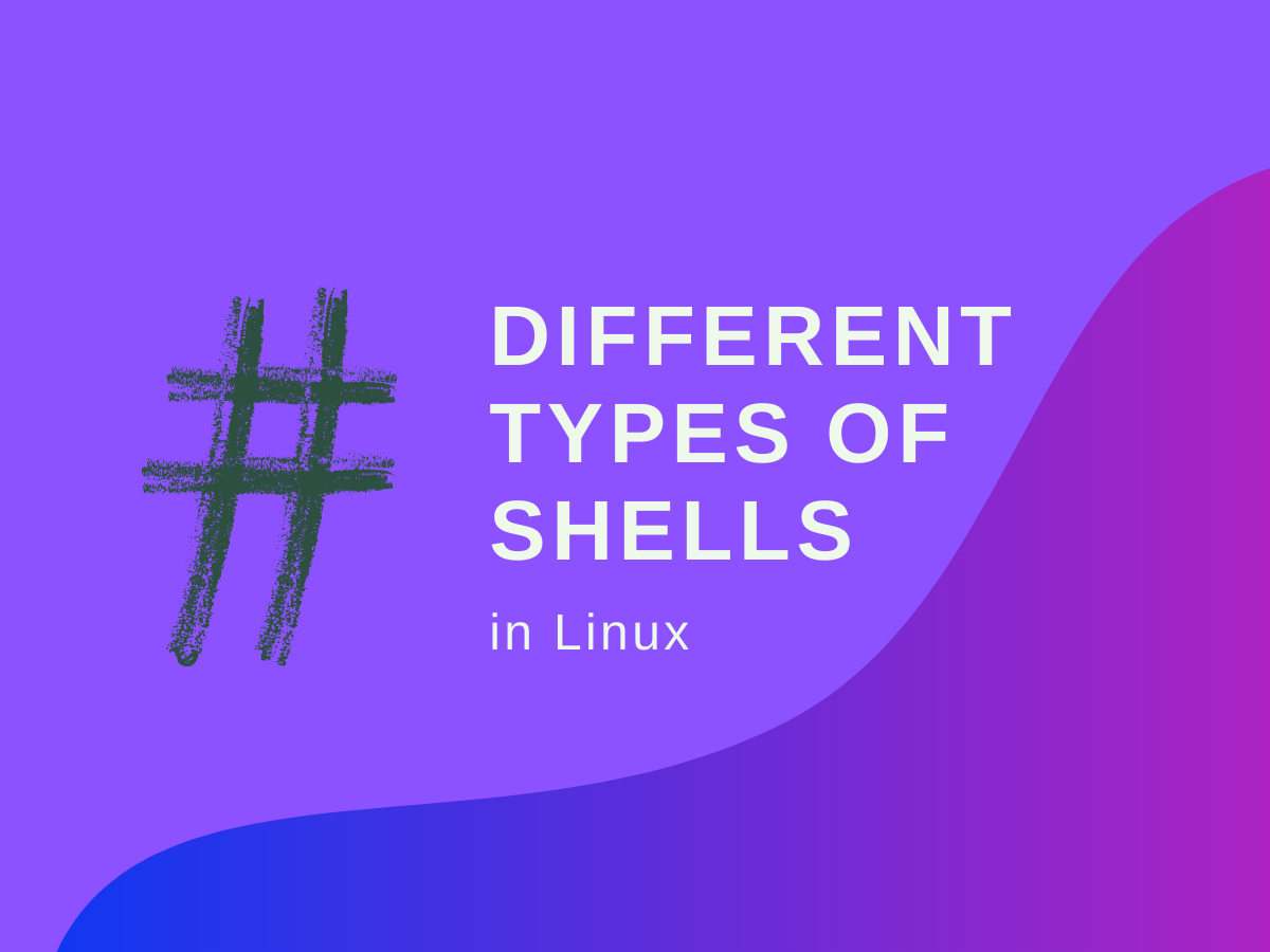What Are The Different Types Of Shells In Linux DigitalOcean