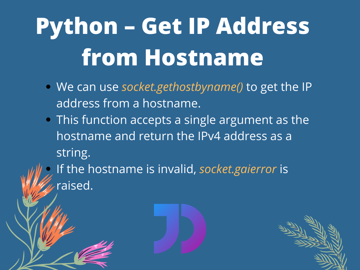 Python Get IP Address From Hostname DigitalOcean